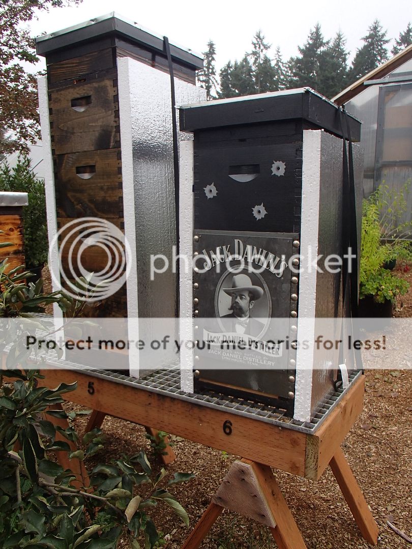 who has wrapped hives ? | Beesource Beekeeping Forums